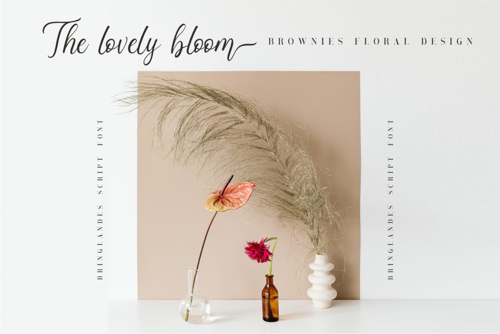 Milkshake Script Font - hanzelspace.com